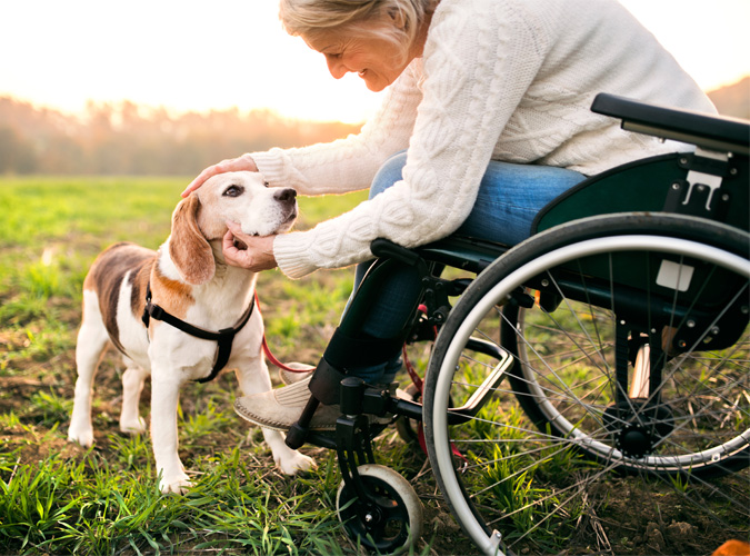 AVMF REACH Program™ - AVMF