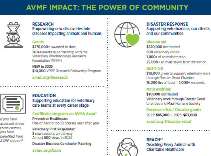 Our impact - AVMF