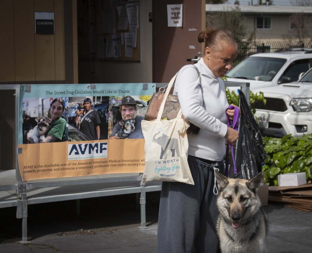 Learning through compassionate care: AVMF enhances student experience ...